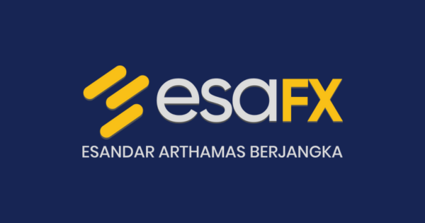 Platform TradingView - EsaFX